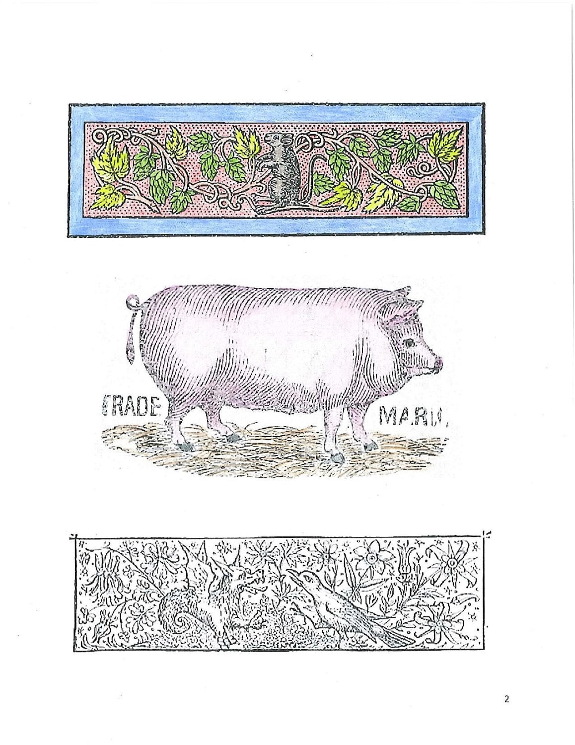 Curious Creatures - Another Printable Instant Download Coloring Book - Etsy