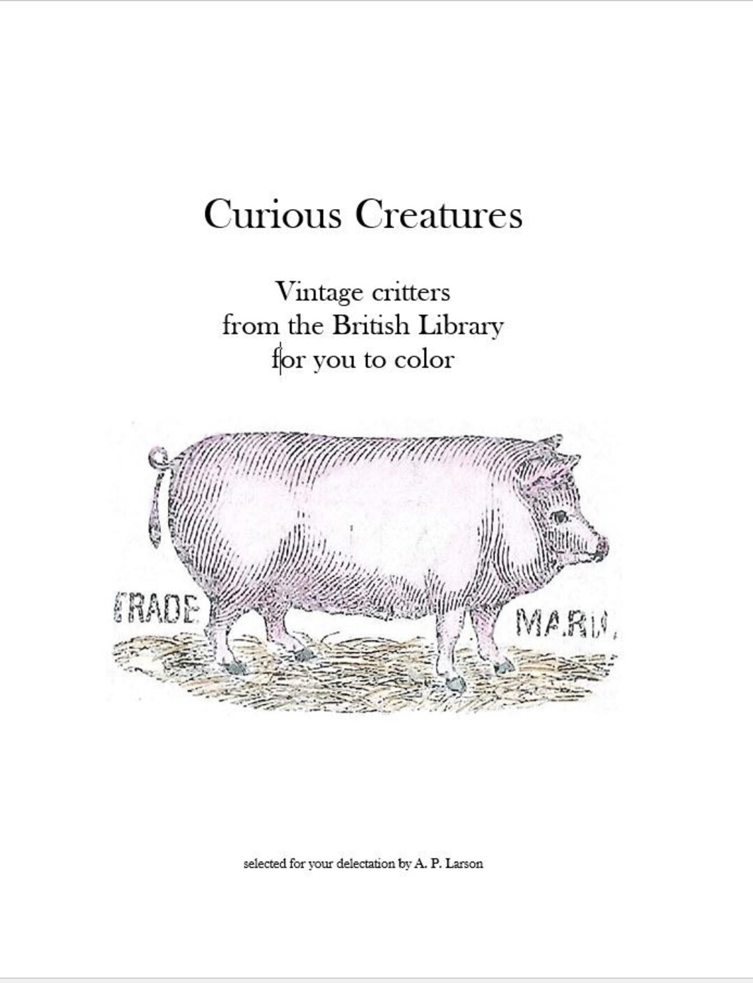 Curious Creatures - Another Printable Instant Download Coloring Book - Etsy