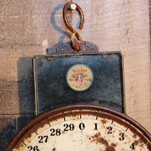 Vintage Hanson Farmhouse Hanging Scale Vintage Plant Hanger | Etsy