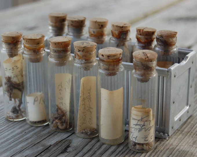 Vintage Science Specimen Glass Tube Containers, Glass Specimen Vials ...