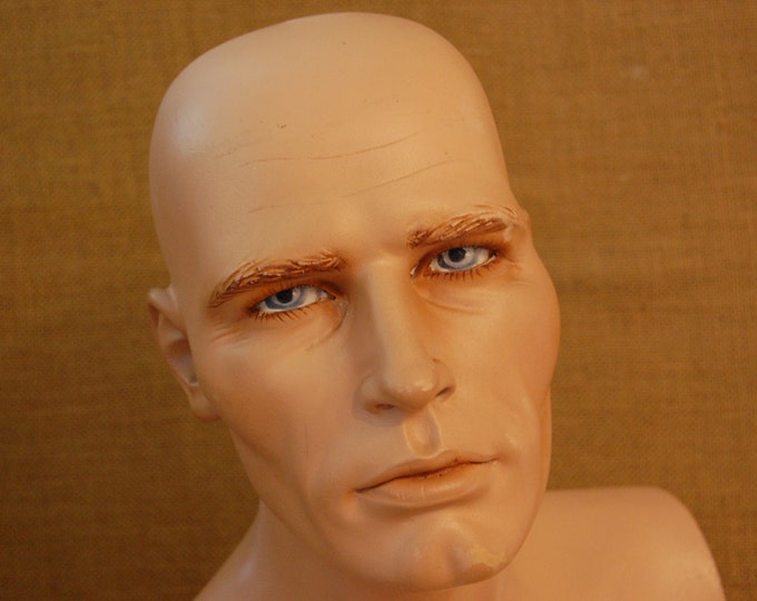 Vintage Greneker Male Mannequin Torso and Head 1970's, Realistic ...