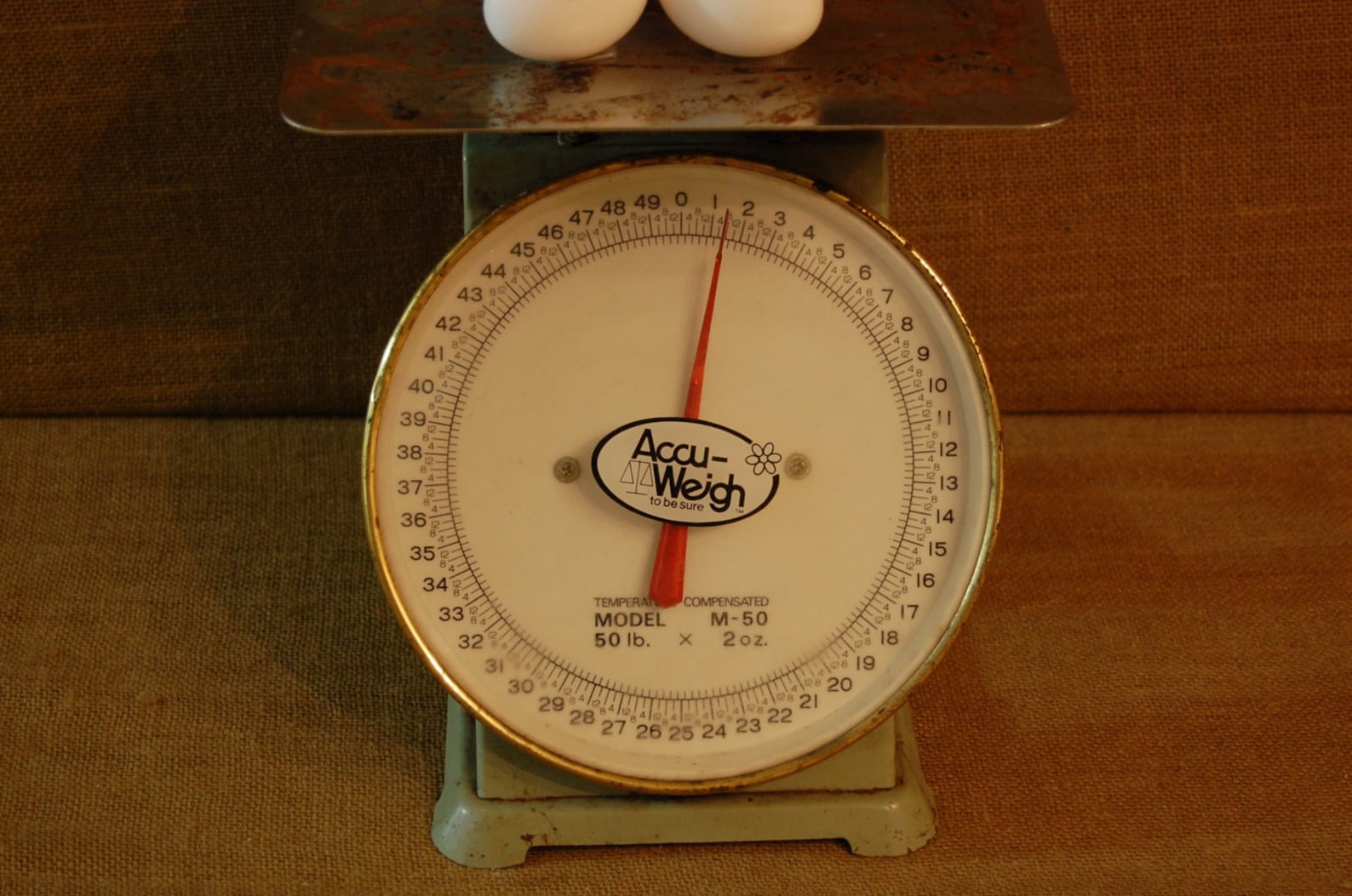 Vintage Industrial Pale Vintage Green Accuweigh Farmhouse Scale ...