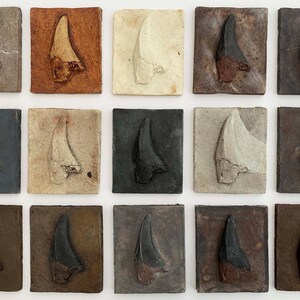 TYRANNOSAURUS REX Dinosaur Tooth Replica T Rex as Seen on TV Dinosaur ...