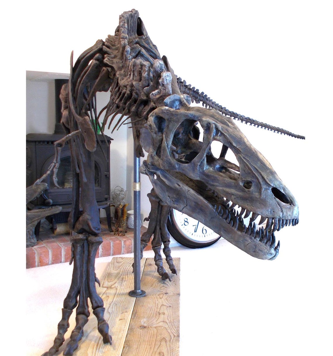 TYRANNOSAURUS REX Dinosaur Mounted T Rex Skeleton Fossil Replica 12 Ft ...