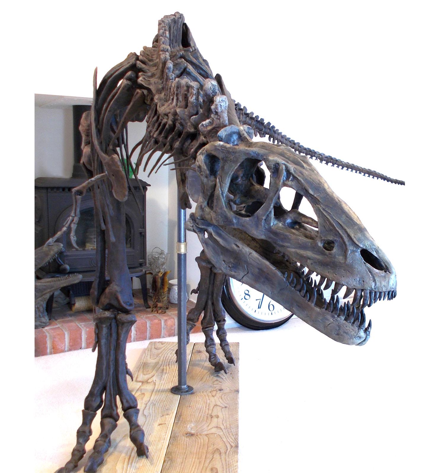 TYRANNOSAURUS REX Dinosaur Mounted T Rex Skeleton Fossil Replica 12 Ft ...