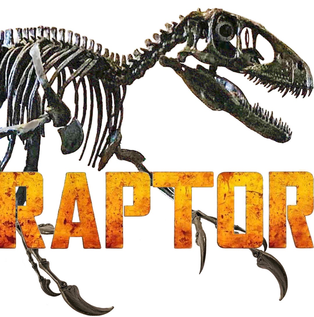 THE RAPTOR - 10 Feet Long (3m) Mounted Skeleton Replica - Seen on BBC ...