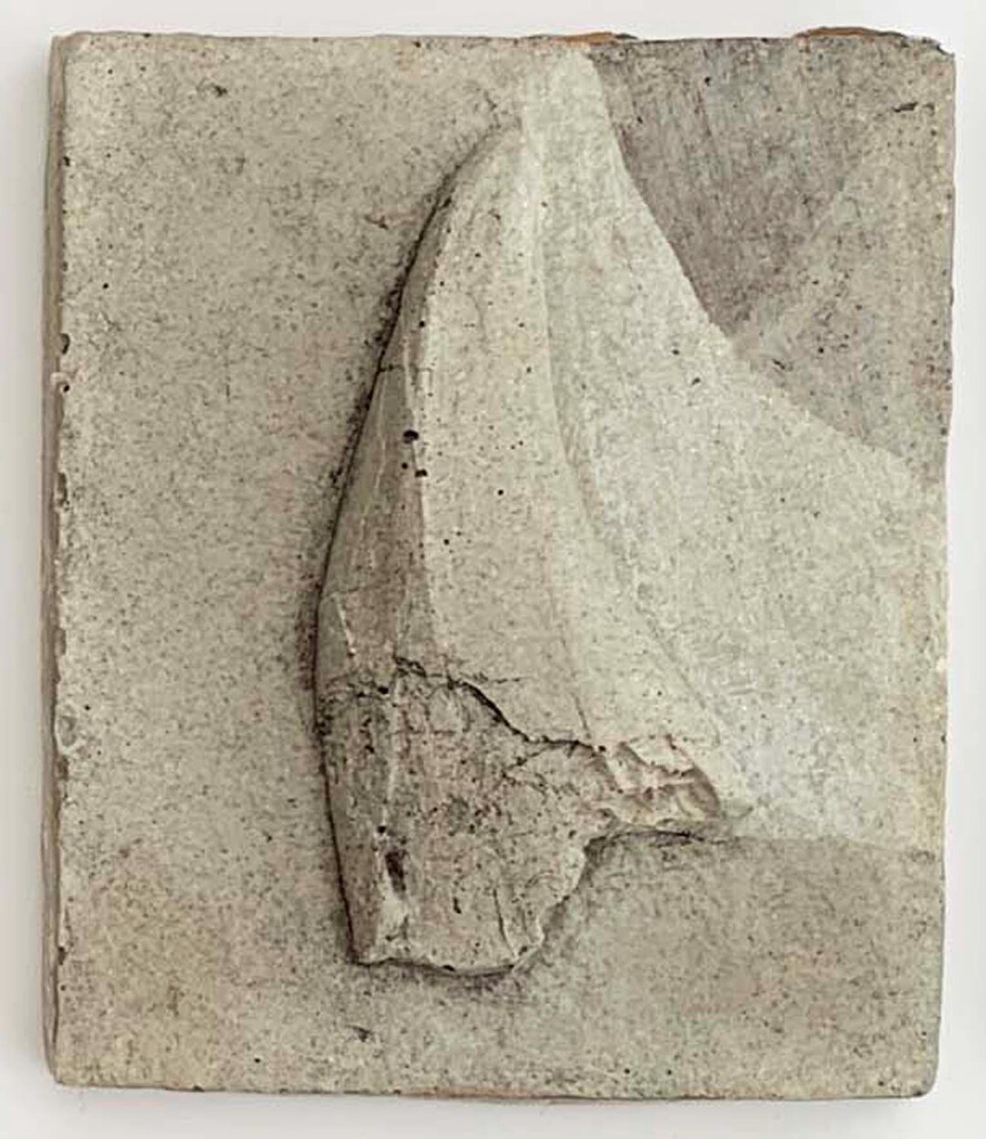 TYRANNOSAURUS REX Dinosaur Tooth Replica T Rex as Seen on TV Dinosaur ...