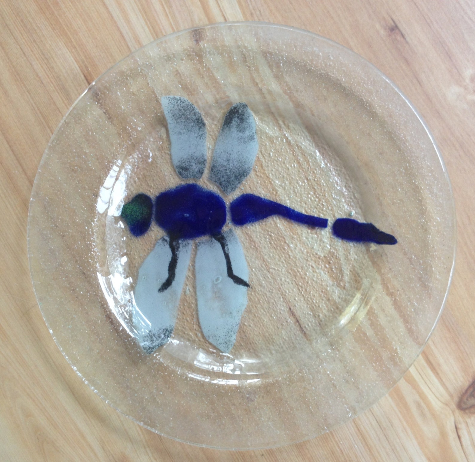 Four Dragon Fly Plate Set, Fused Glass Plates, Everglade's Dragonfly ...