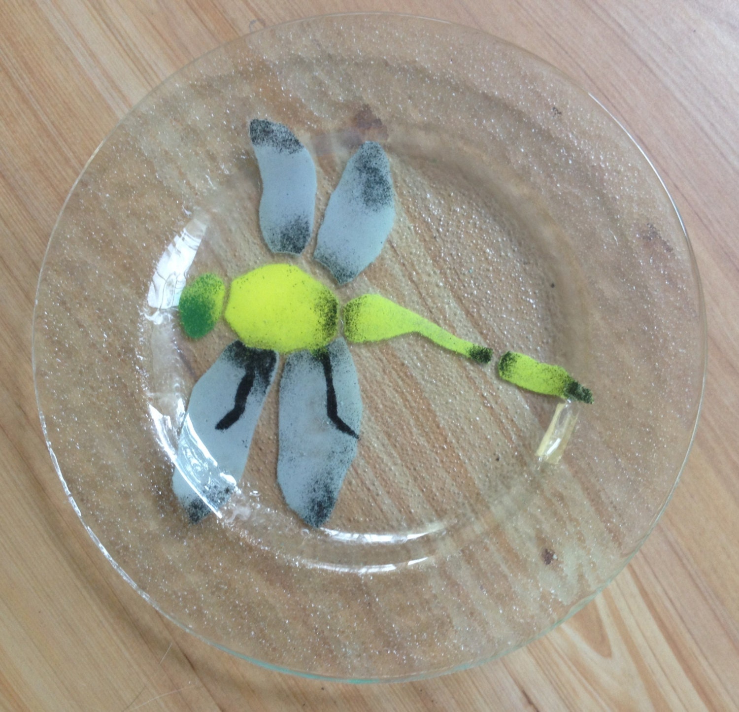 Four Dragon Fly Plate Set, Fused Glass Plates, Everglade's Dragonfly ...