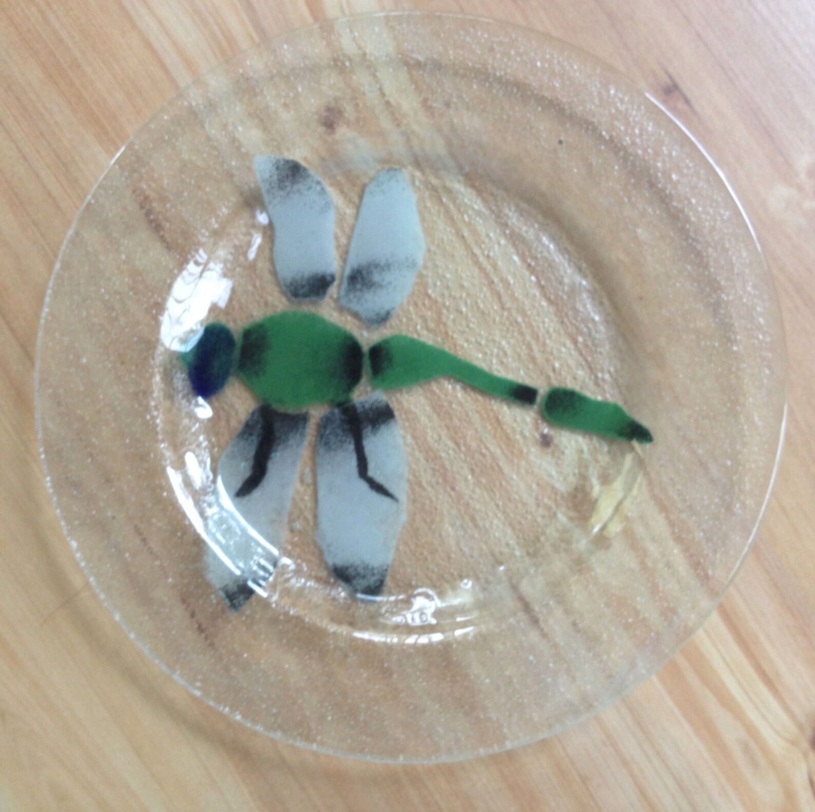 Four Dragon Fly Plate Set, Fused Glass Plates, Everglade's Dragonfly ...