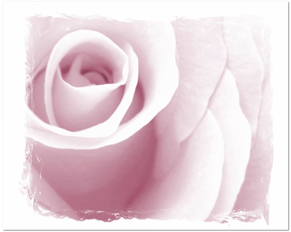 Printable Pink Wall Art Set of 8 Art Print Digital Downloads in Pale ...