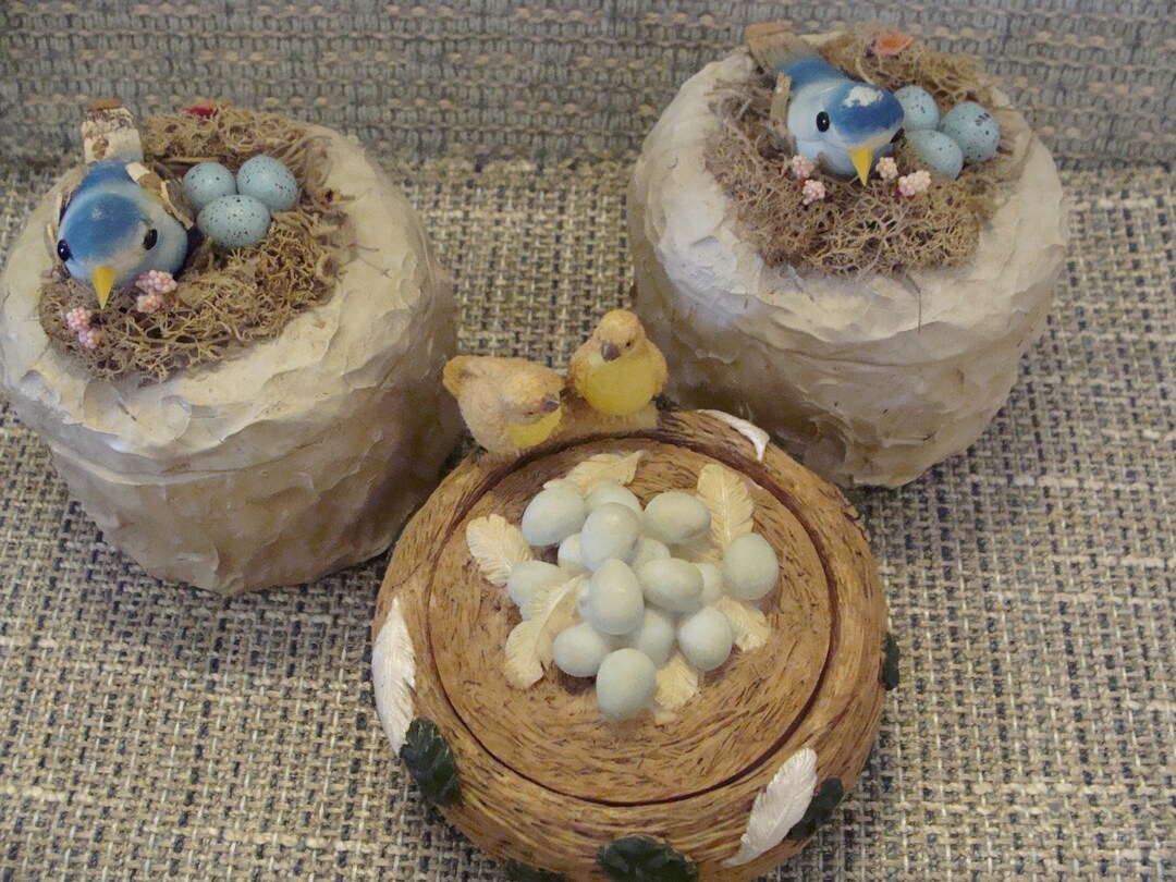Resin Boxes for Keepsakes, Fun Gift Boxes, Birds Nesting, Birds With ...