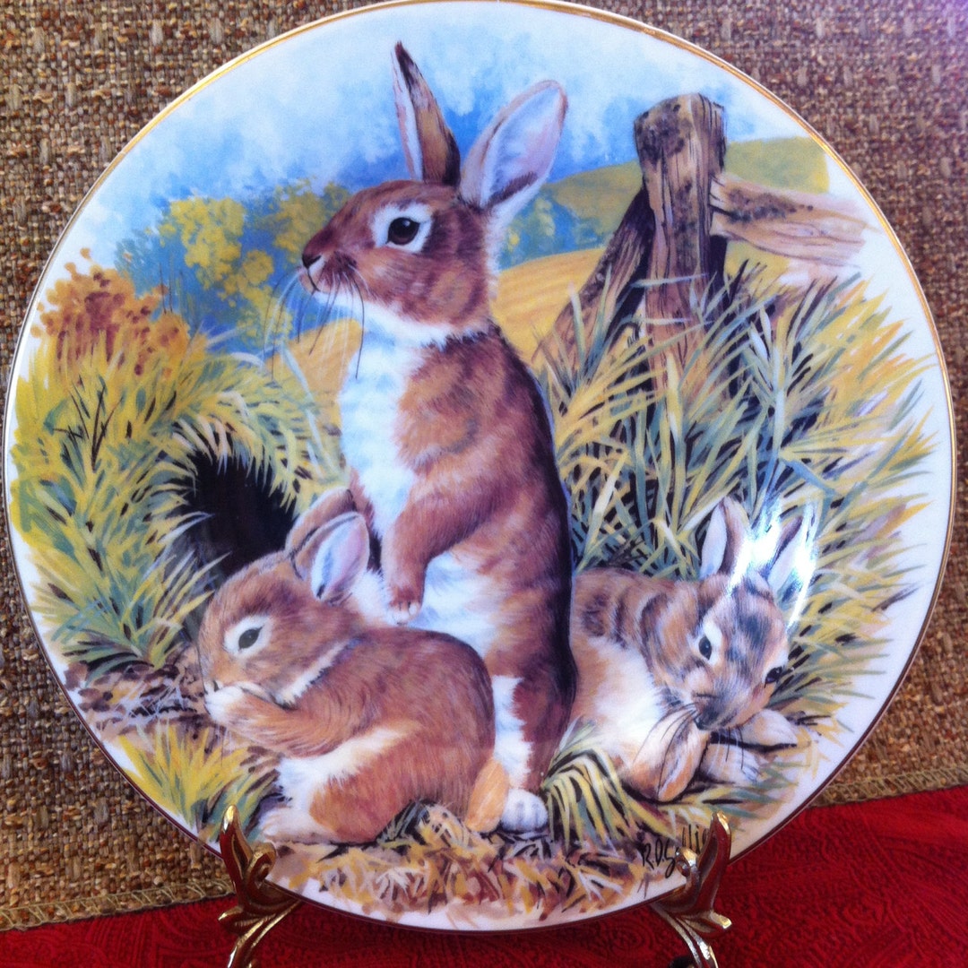 Rabbit Family, Norfolk China, English Bone Porcelain Plate - Etsy