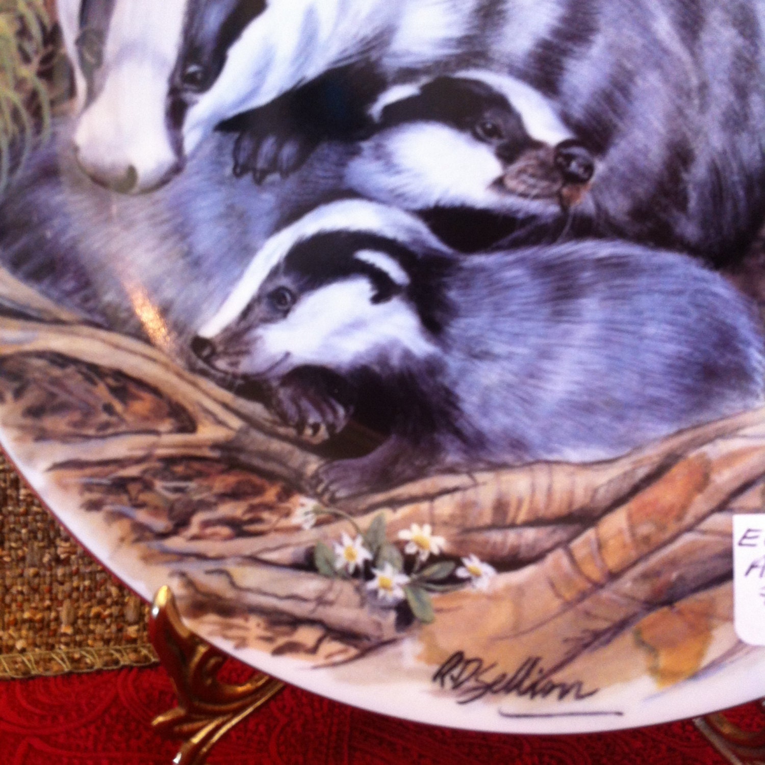 Bright Plate of a Badger Family English Bone Porcelain Plate - Etsy UK