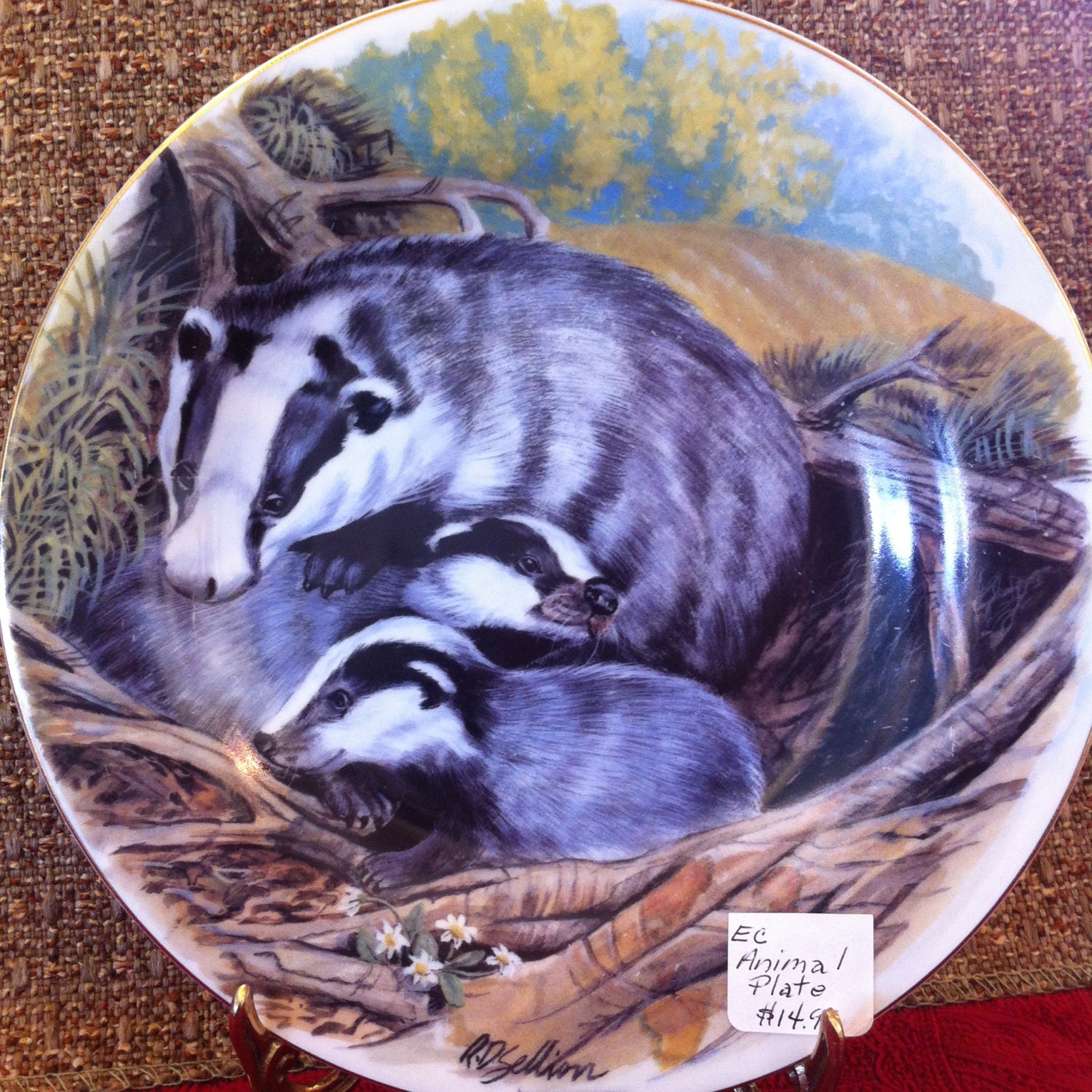 Bright Plate of a Badger Family English Bone Porcelain Plate - Etsy UK