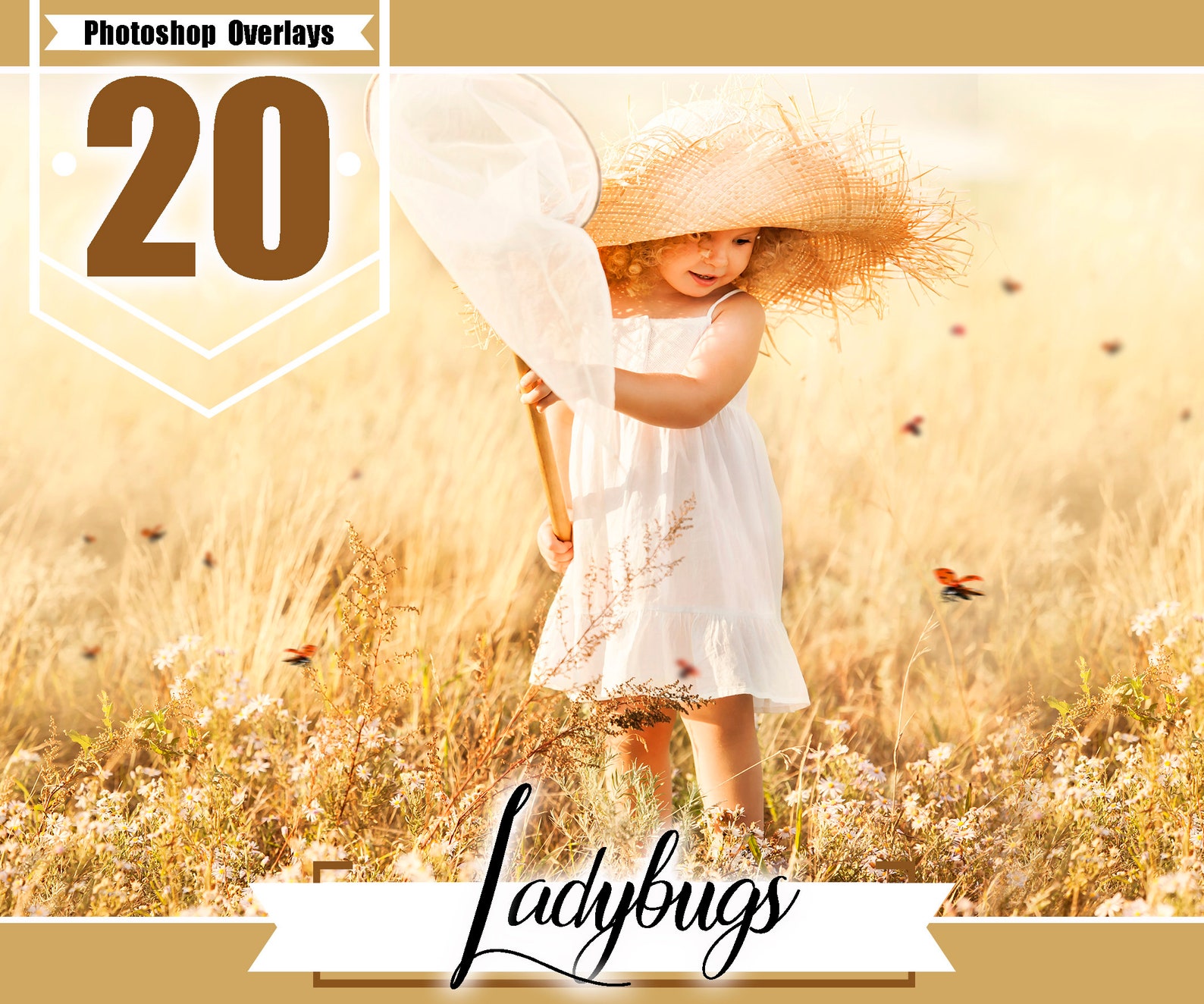 20 Ladybug Photo Overlays Photoshop Overlay Butterfly | Etsy