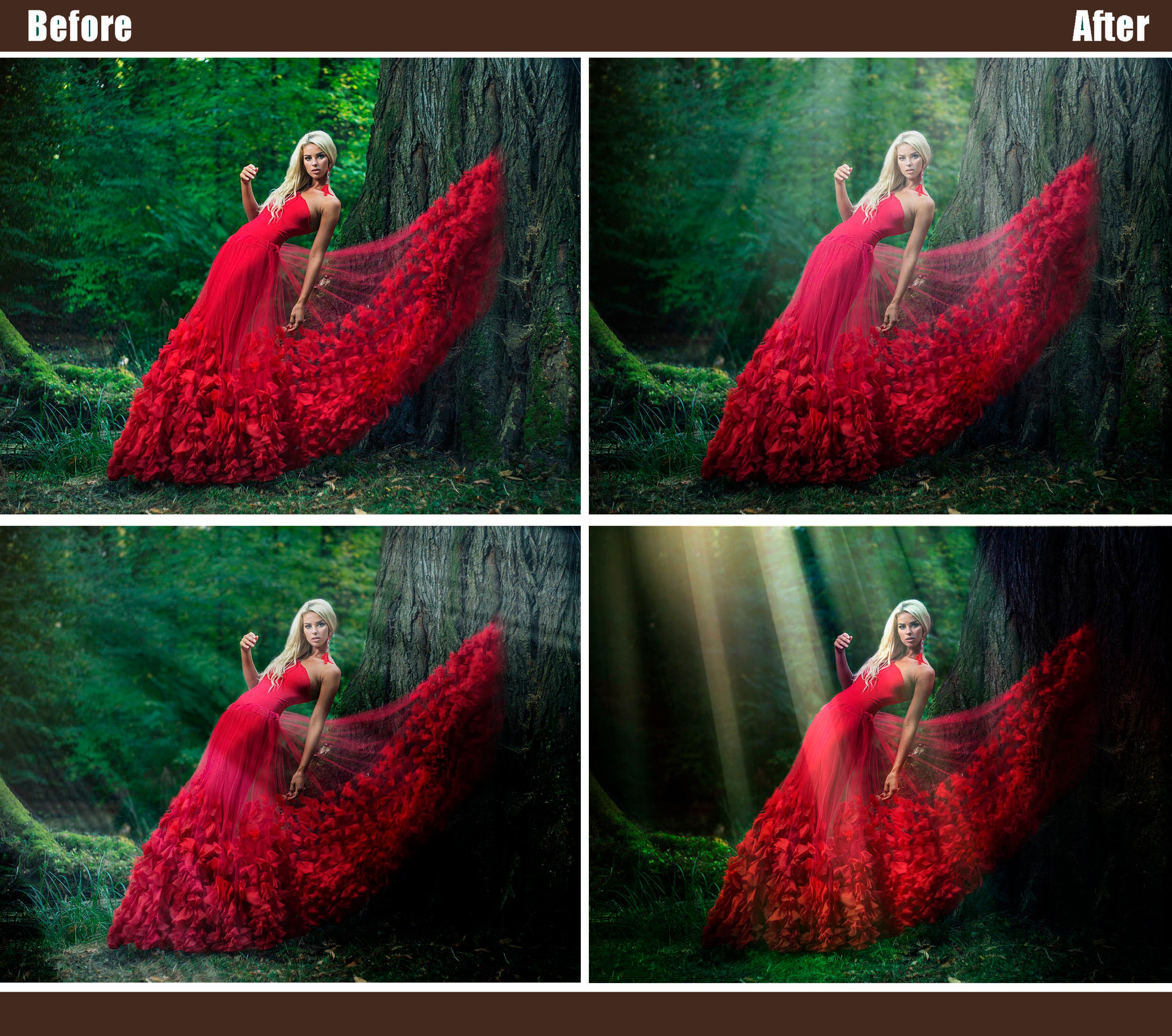 60 Natural Sun Light Overlays Photoshop Overlay Lens Flare | Etsy