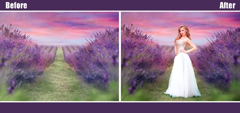 Lavender Fields Backdrop Download Photoshop overlay Digital | Etsy