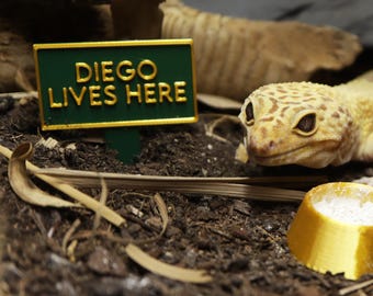 diego leopard name