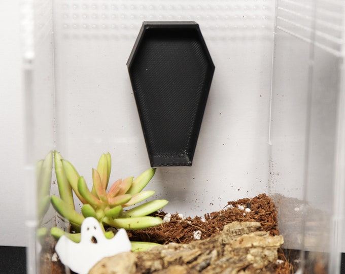 Jumping Spider Coffin Enclosure Free Shipping - Etsy