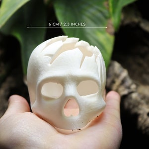 3D Printed Skull Hide Tank Decoration Tarantulas, Dart Frogs, Mourning ...