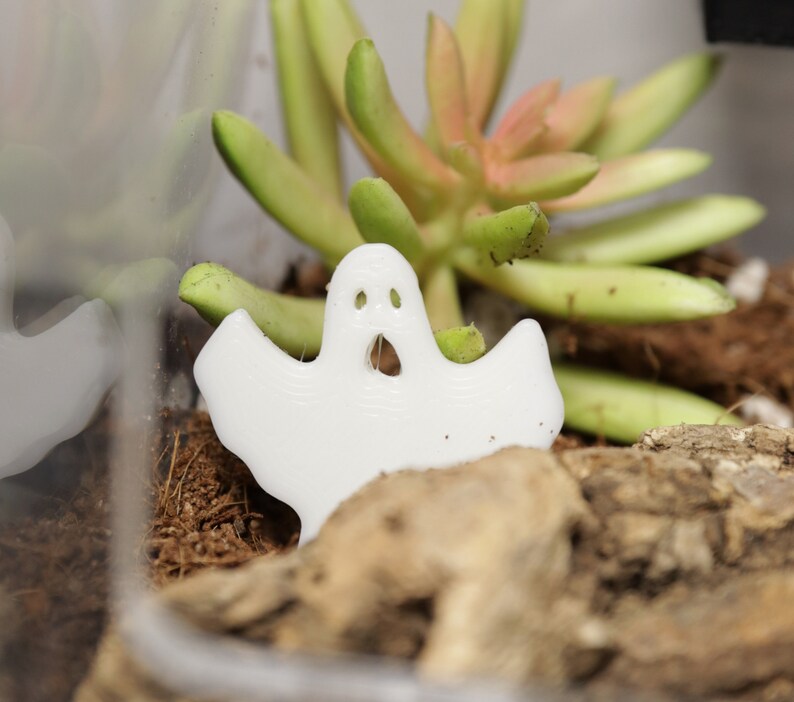 Spooky Jumping Spider Magnetic Hide & Decorations Halloween - Etsy