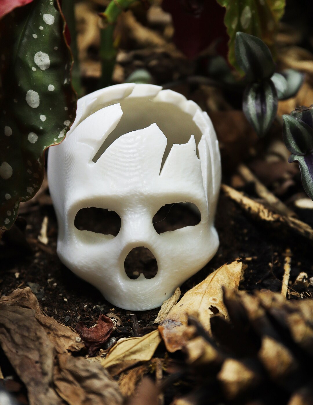 3D Printed Skull Hide Tank Decoration Tarantulas, Dart Frogs, Mourning ...