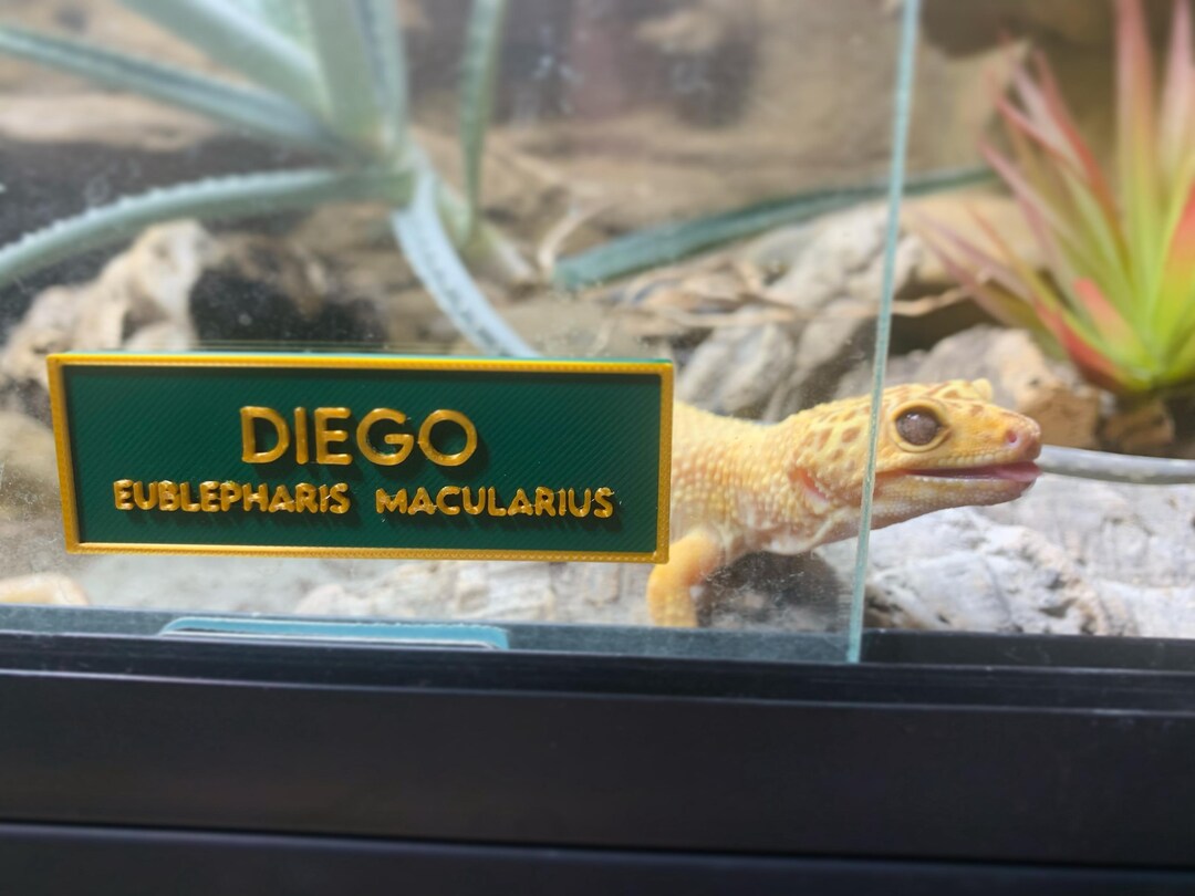 Magnetic Vivarium Name Sign for Lizards, Snakes, Spiders & More ...