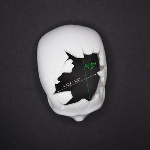 3D Printed Skull Hide Tank Decoration Tarantulas, Dart Frogs, Mourning ...