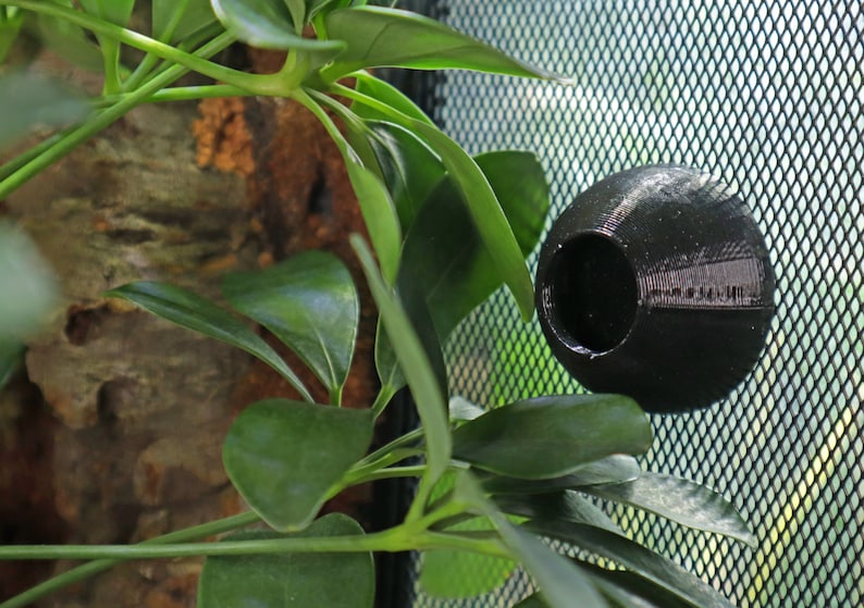 Magnetic Jumping Spider Arboreal Hide / Home & Feeding - Etsy