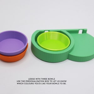 Gecko Food Ledge + Bowls & Spoon Kit | Choice of Colours | 3D Printed ...