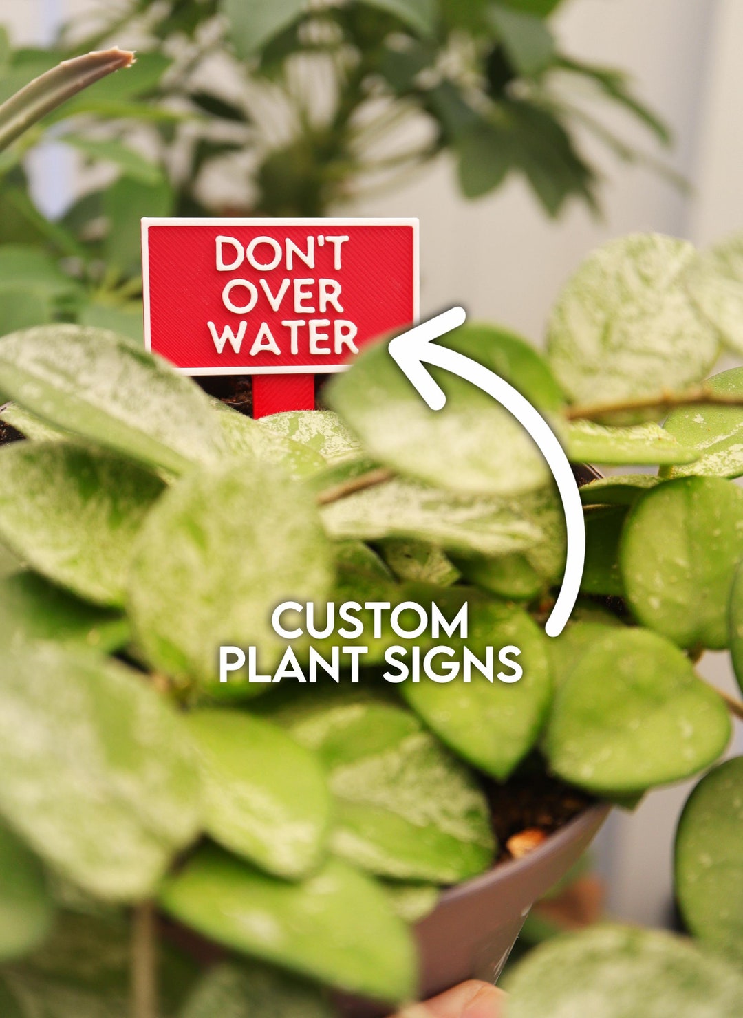 Custom House Plant Sign on Stake | 3D Printed, Various Colour ...