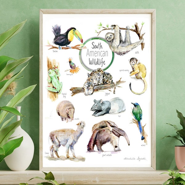 Frog Species Poster - Etsy