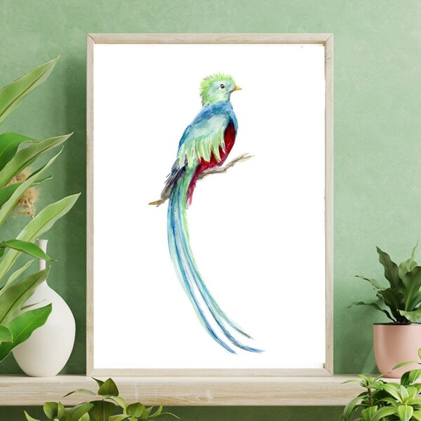 Quetzal - Etsy