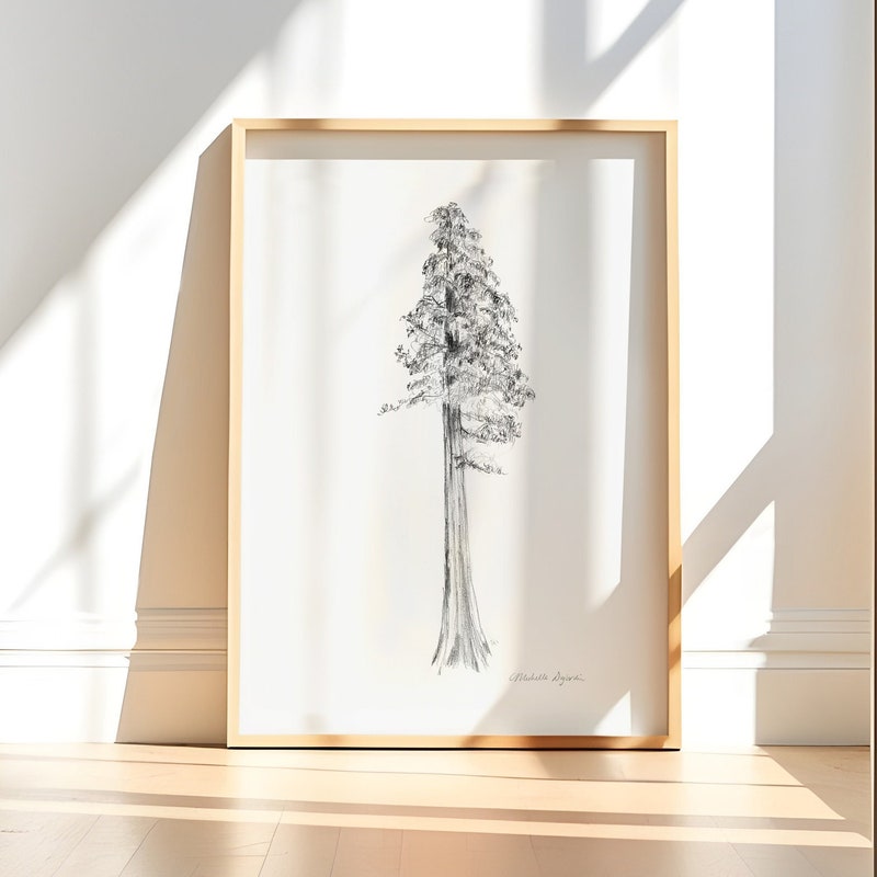 Redwood Tree Art - Etsy