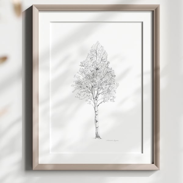 Aspen Tree Art - Etsy