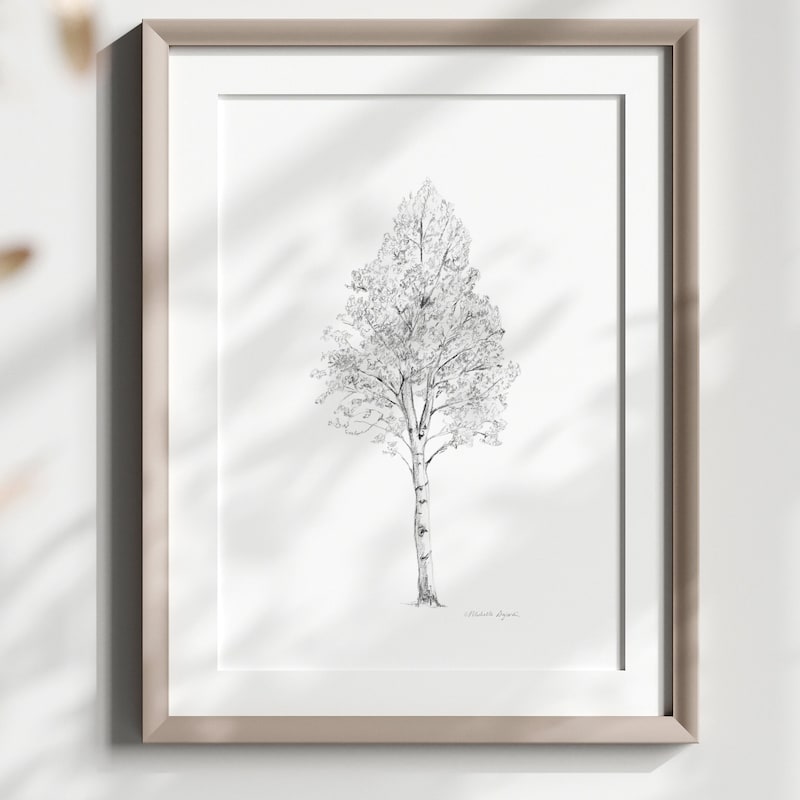 Aspen Tree Art - Etsy