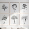 Tree Art, Set of 4 Tree Drawings, Giclee Prints, Tree Wall Art, Tree ...