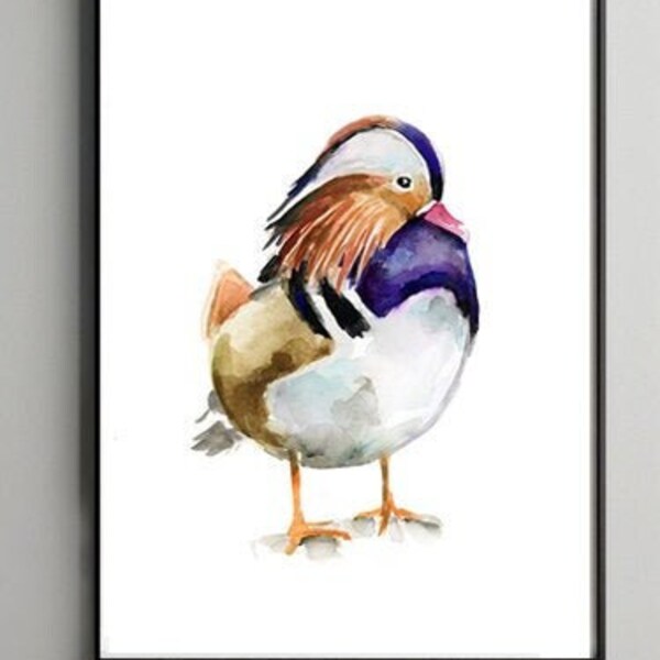 Mandarin Duck Art - Etsy
