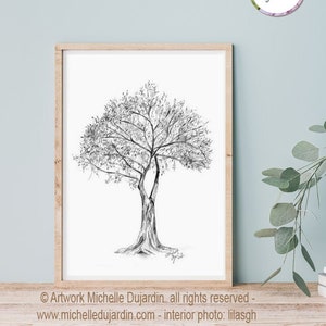 Old Ficus Tree Drawing, Italian Tree Art, Ficus Illustration, Pencil ...