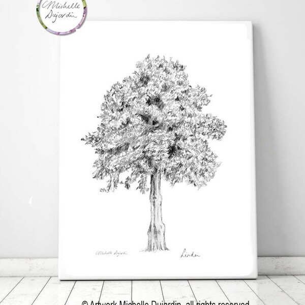 Linden Tree - Etsy