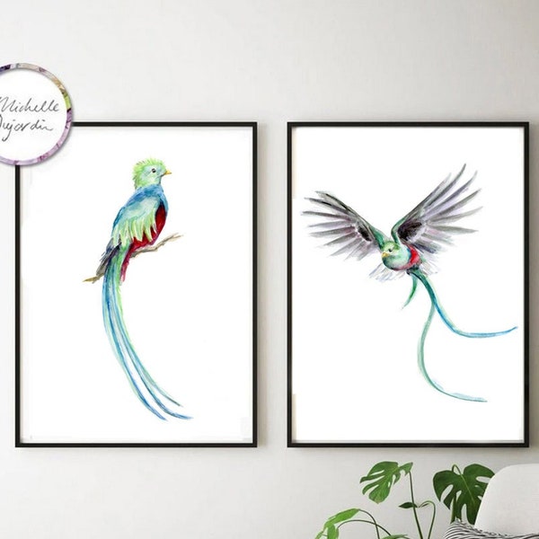 Quetzal - Etsy