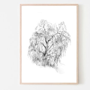 Weeping Willow Art, Willow Tree Drawing, Pencil Sketch, Zen Drawing ...