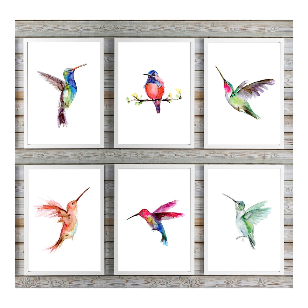 Set of 6 Hummingbird Prints Humingbird Art Hummingbird - Etsy