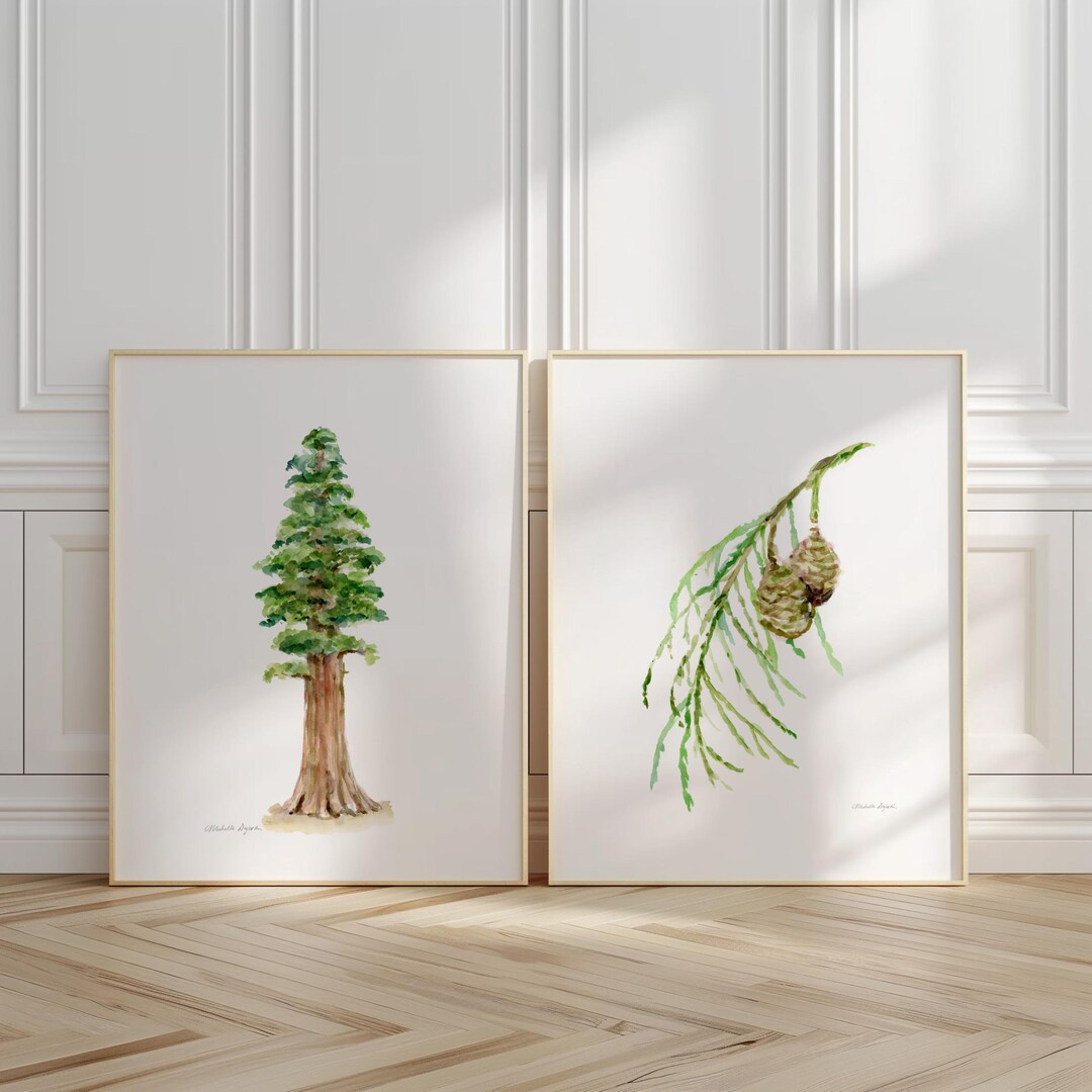 Sequoia Tree Watercolor Art Print Set, Redwood Decor - Etsy