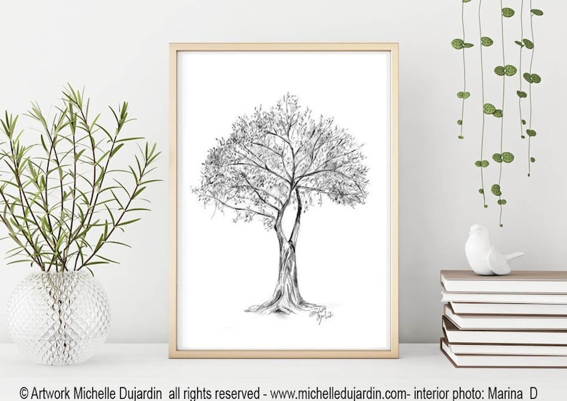 Old Ficus Tree Drawing Italian Tree Art Ficus Illustration - Etsy