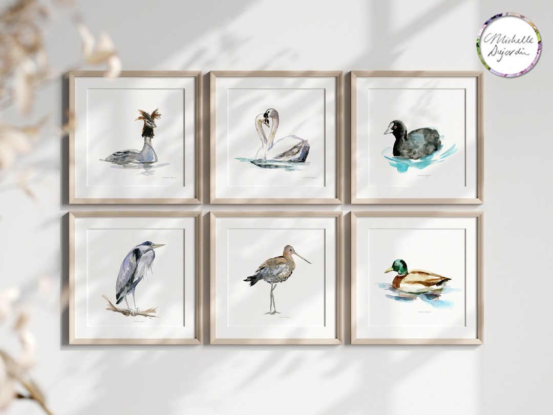 Set of 6 European Water Birds Print Set Riparian Birds Heron Art Grebe ...