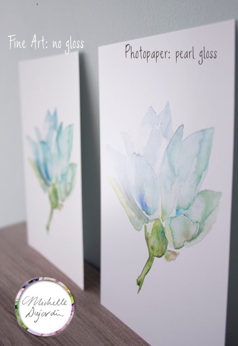 Kiwi nursery prints set of 3 kiwi birds New Zealand art | Etsy