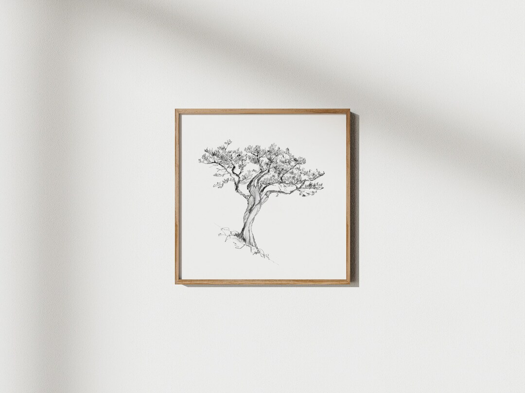 Juniper Tree Art Print Juniper Tree Pencil Drawing Grey White Home ...