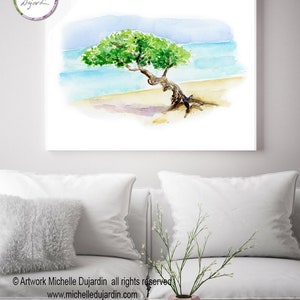 Divi divi boom uit Aruba boom aquarel schilderij - Etsy Nederland